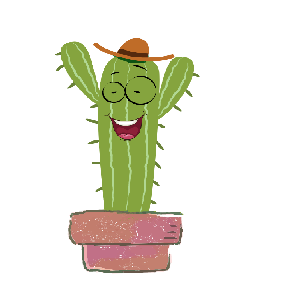 Indoor Evergreen Plants – Cacti