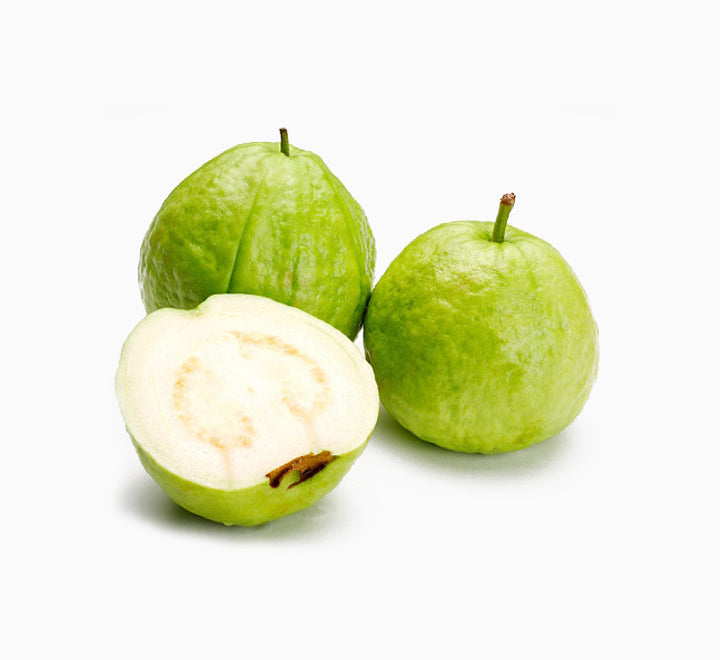 Psidium guajava Or Guava Tree 1.2 - 2.0m شجرة الجوافة (Pakistani) – Cacti