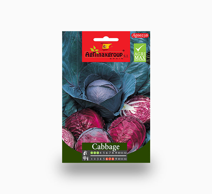 Red Cabbage Agrimax seeds – Cacti