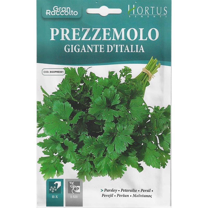 Parsley "Prezzemolo Gigante D’ Italia" Seeds by Hortus – Cacti