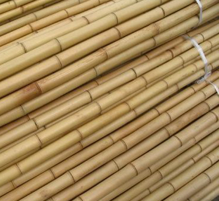 Bamboo Stick "Per Piece" 15-30mm Dia "Ideal for Plant Support" – Cacti
