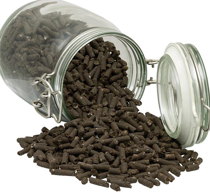 Bio Organic Fertilizer Best for Indoor and Outdoor Plants – Cacti