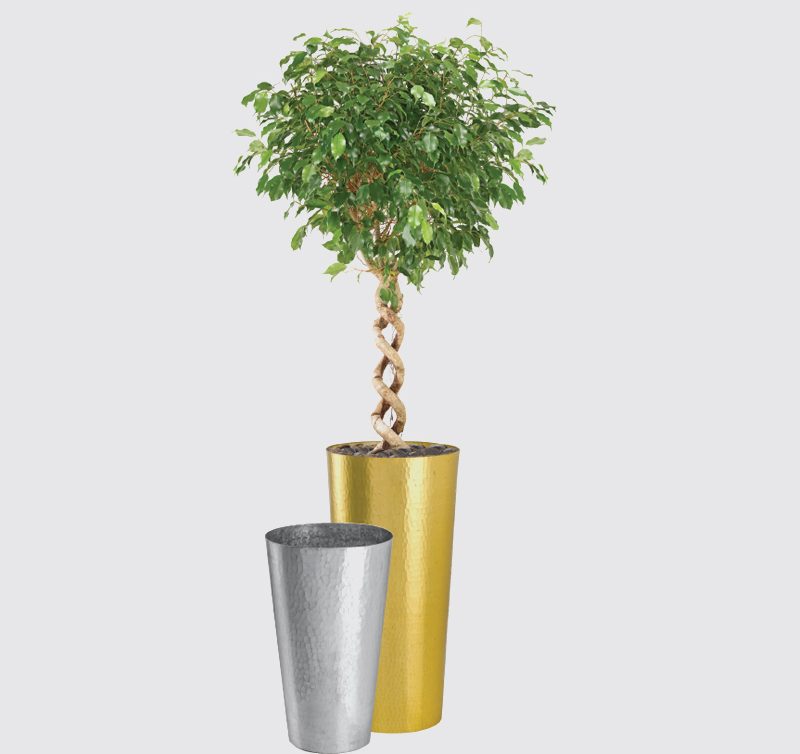 Conical Hammered "Aluminium" Pot – Cacti