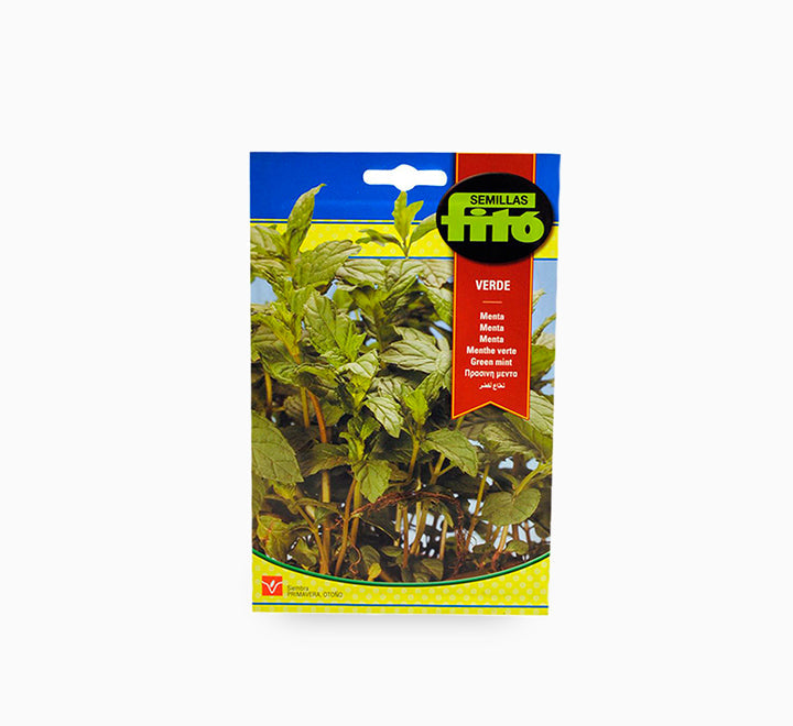 Fito Green Mint Seeds – Cacti