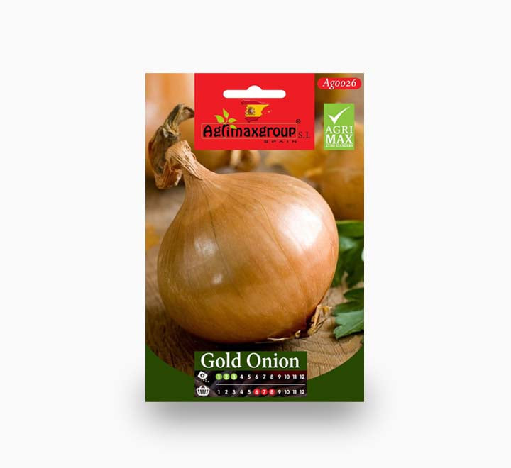 Gold Onion – Cacti