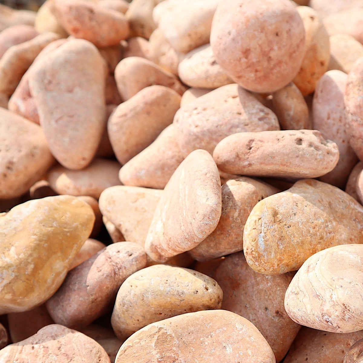 Red Forest River Stone "Natural Garden Material" – Cacti