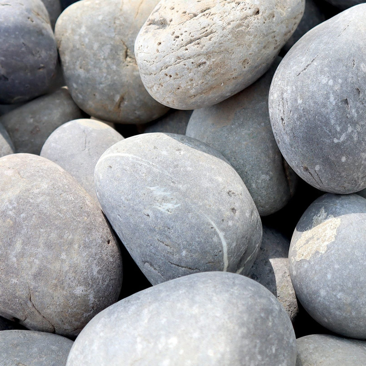 Gray River Pebbles "Natural Garden Material" – Cacti
