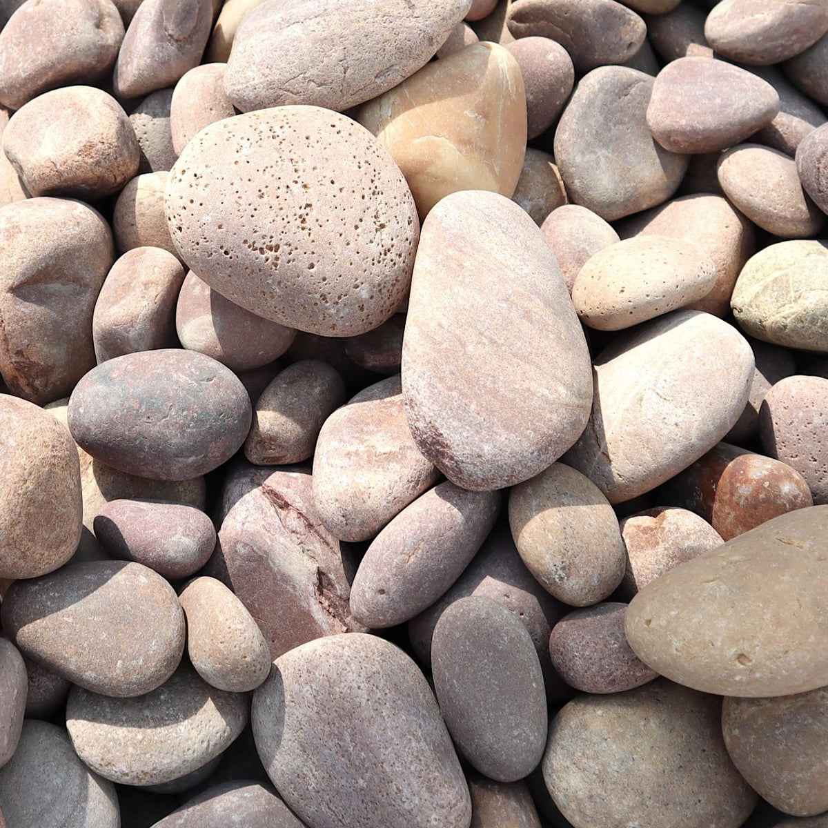 Red River stone "Natural Garden Material" – Cacti