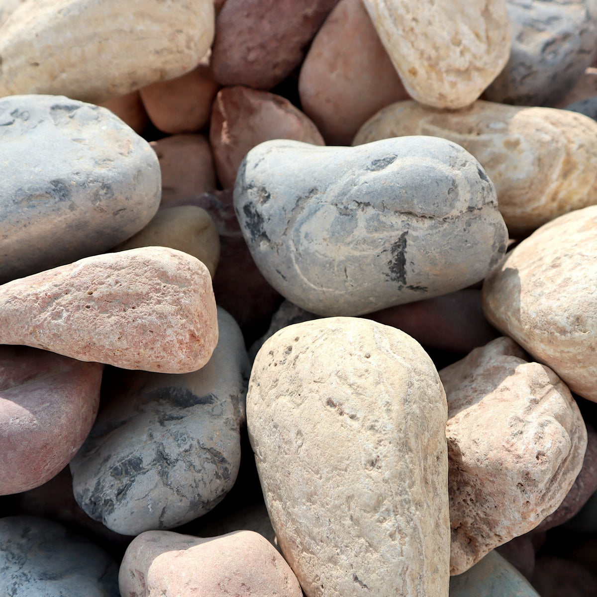 Mix Colour River stone "Natural Garden Material" – Cacti