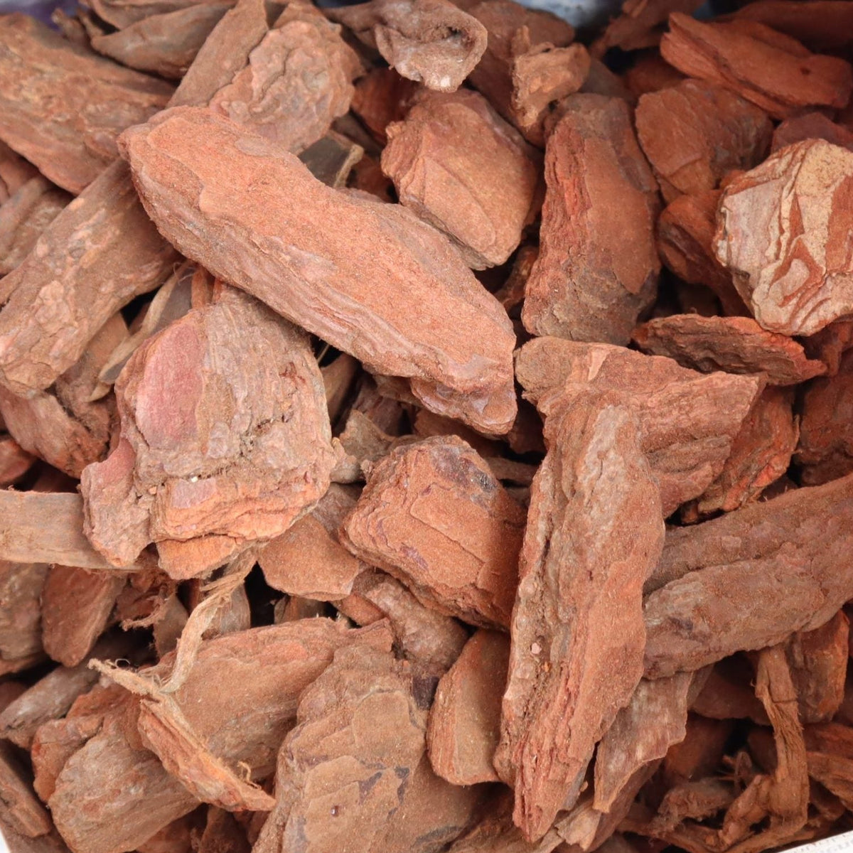 Agricon French "Pine Bark Mulch" – Cacti