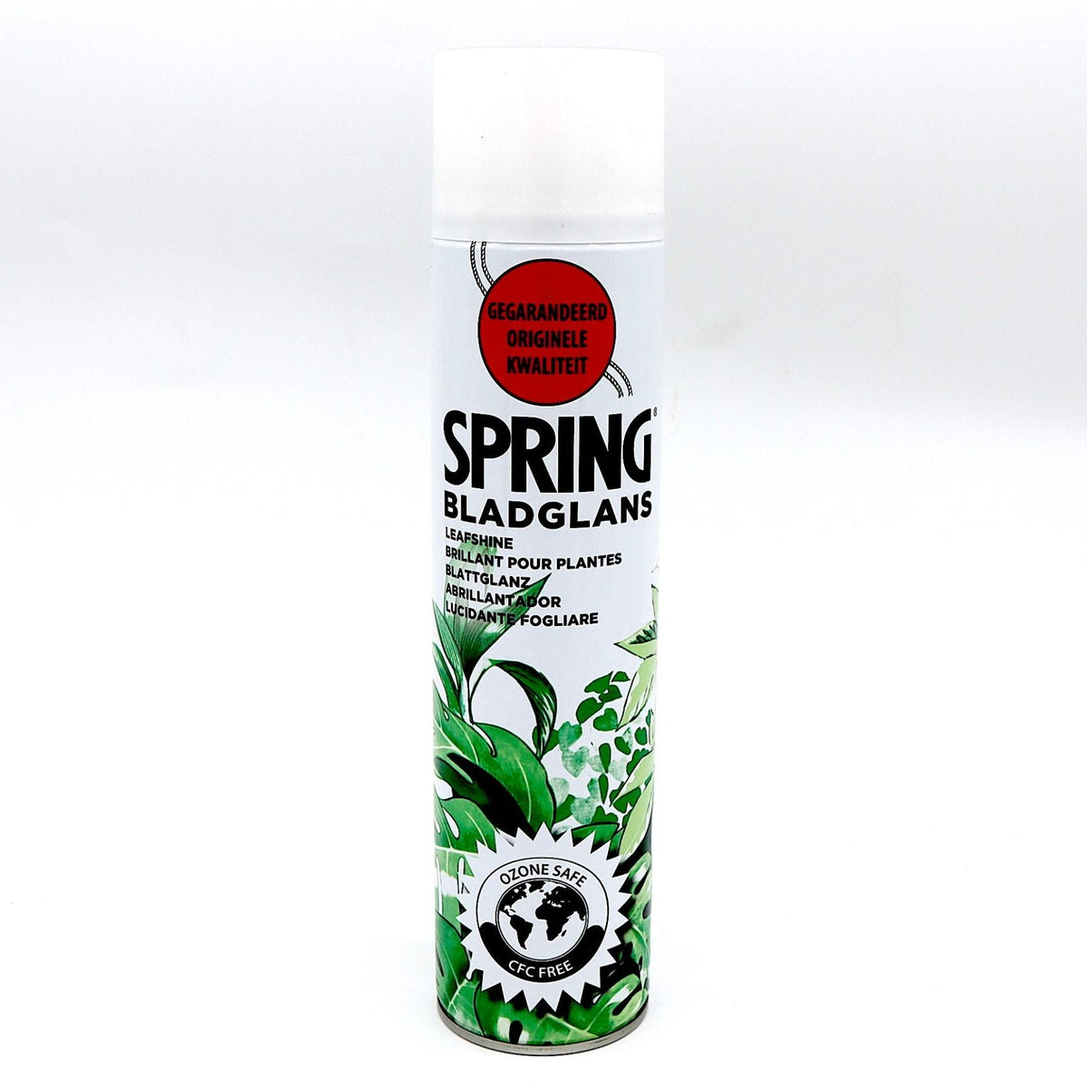 Leaf Shine Spray 600ml – Cacti