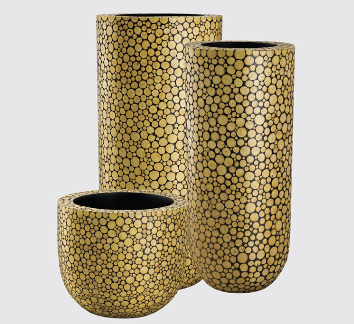 Highball Wood Ring Pot – Cacti