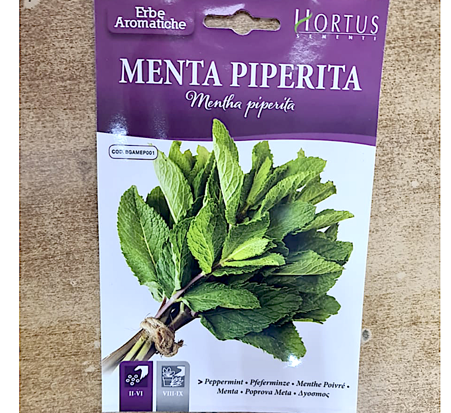 Mint Herb Seeds "Menta Piperita" by Hortus – Cacti