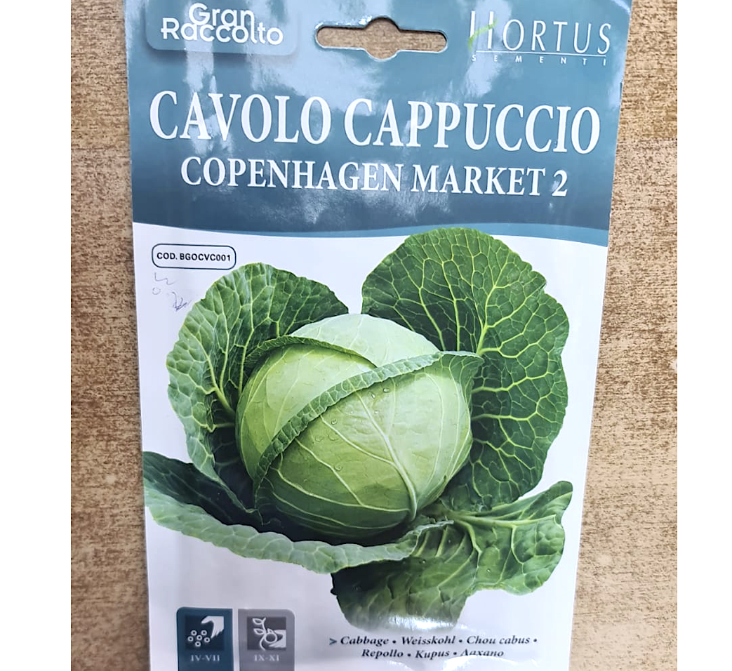 Cabbage Vegetable Seeds "Cavolo Cappuccio Copenhagen Market 2" by Hort ...