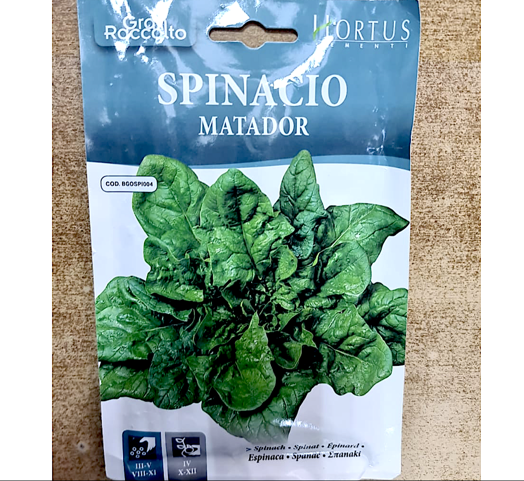 Spinach Vegetable Seeds "Spinacio Matador" by Hortus – Cacti