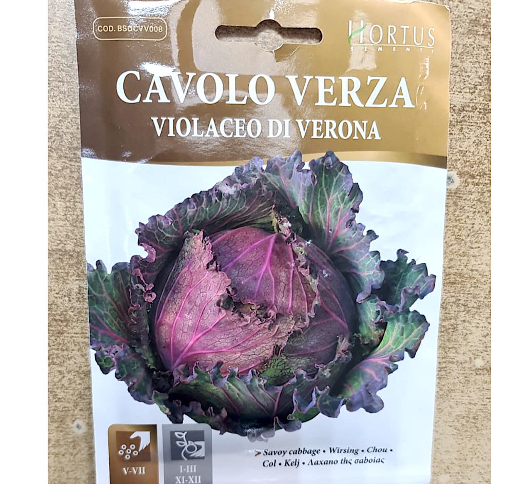 Cabbage Vegetable Seeds "Cavolo Verza" by Hortus – Cacti