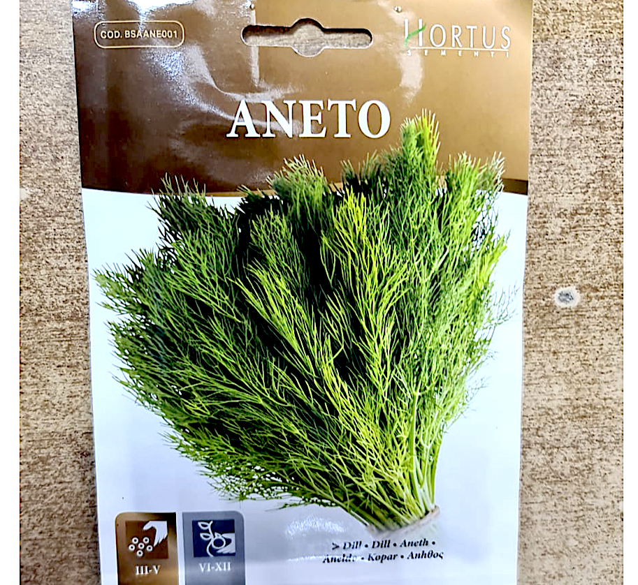 Dill Vegetable Herb Seeds "Aneto" by Hortus – Cacti