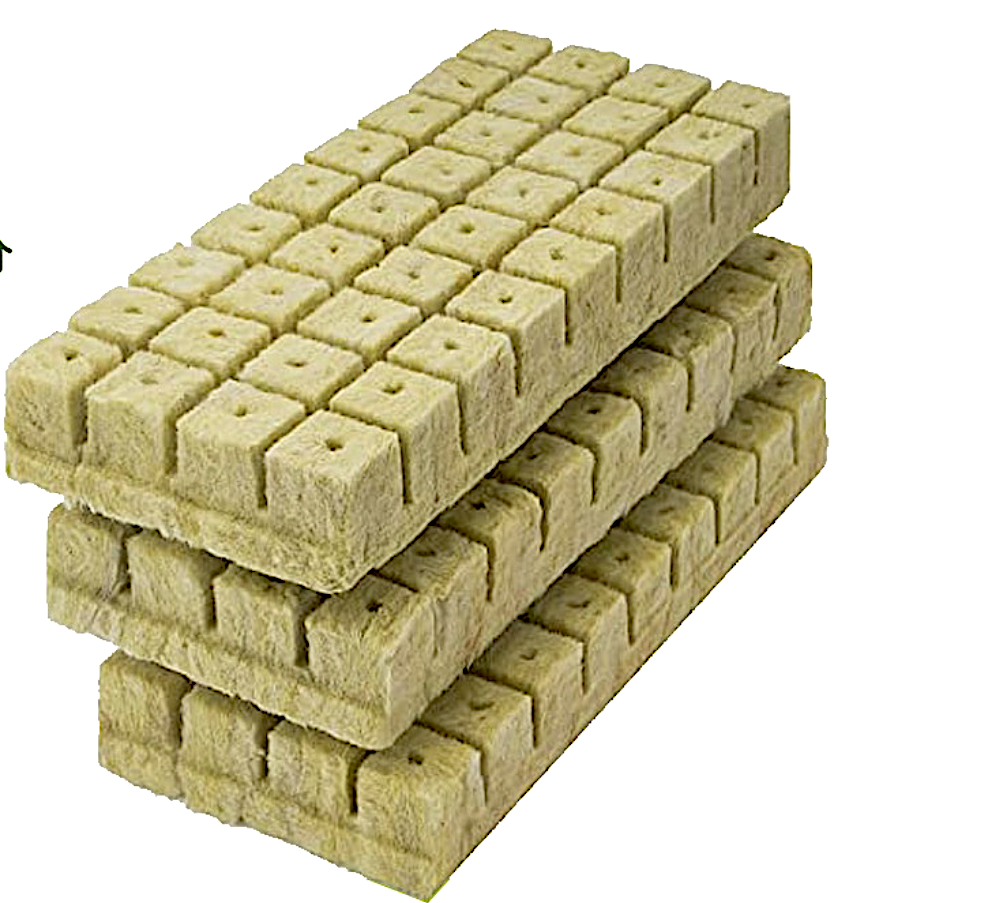Rock Wool Cubes "Hydroponic Growing Medium" – Cacti