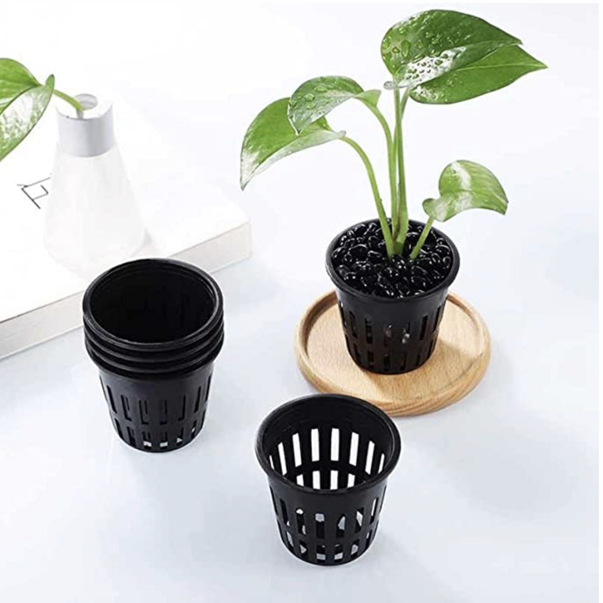 Mesh Net Pot "Hydroponics Plant Pot" (2", 3"& 4") – Cacti