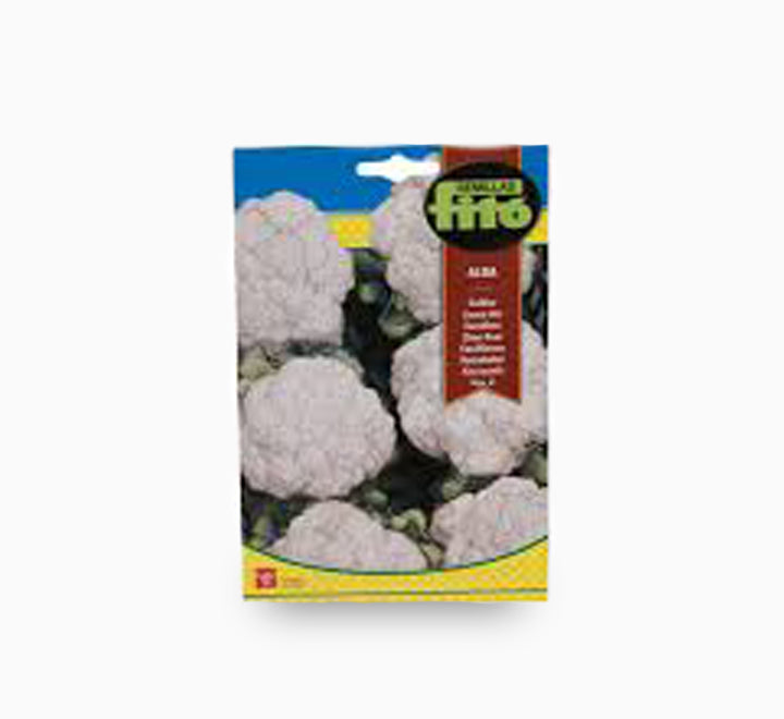 Fito Coliflor Alba (Cauliflower) - Fito Seeds – Cacti